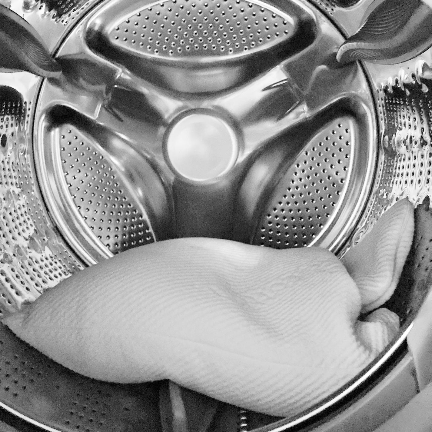 Lavender Millet Hulls - Bulk box – Open Your Eyes Bedding