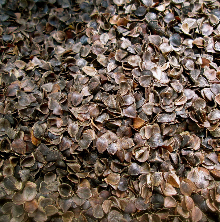 Certified Organic Buckwheat Hulls - Bulk – Open Your Eyes Bedding